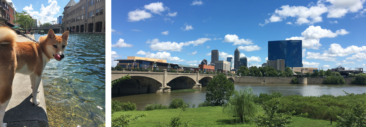 What We Love About Living in Indianapolis | Schmidt Associates